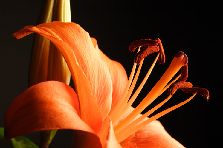 Image Cache - contemporary fine art photography by Roger Shone